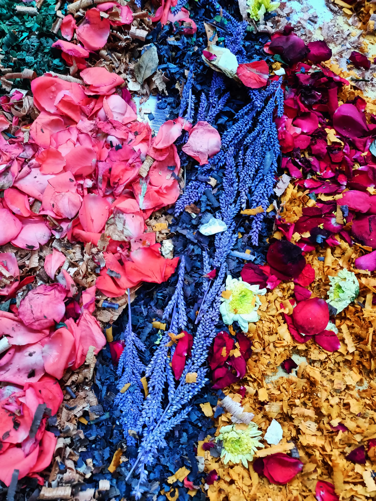 Walking with Jesus - Universitas